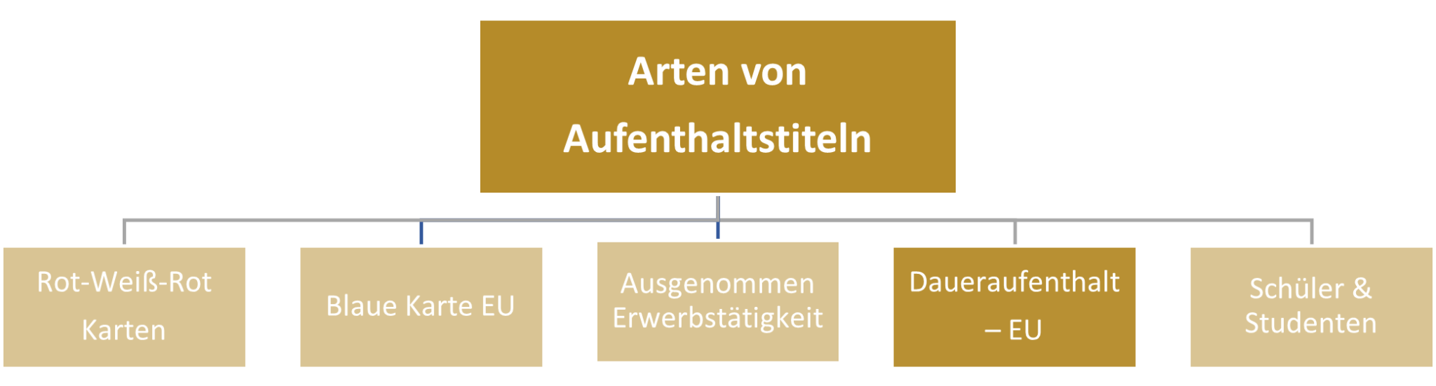 Immigration, Residence & Citizenship Attorney